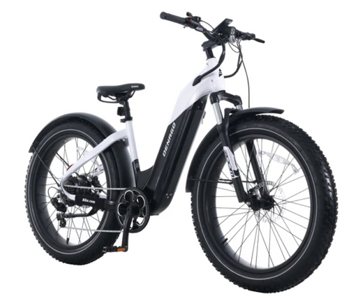 Denago Fat Tire Step Through – JACS e-Bikes